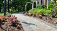 Home - Premium Lawn & Landscape